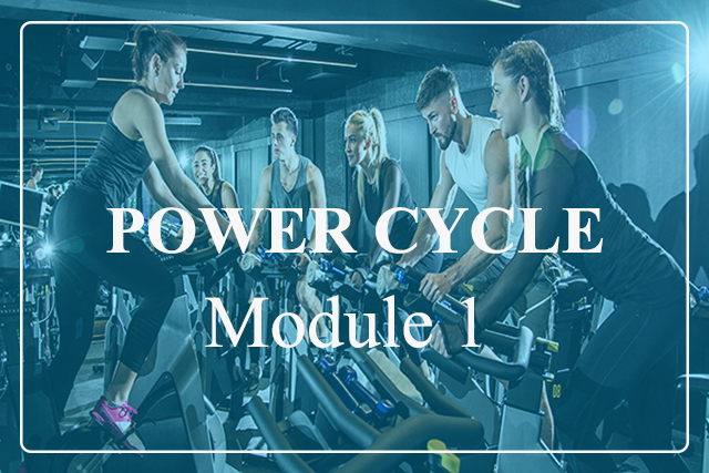 Power Cycle Modules – NAFTA