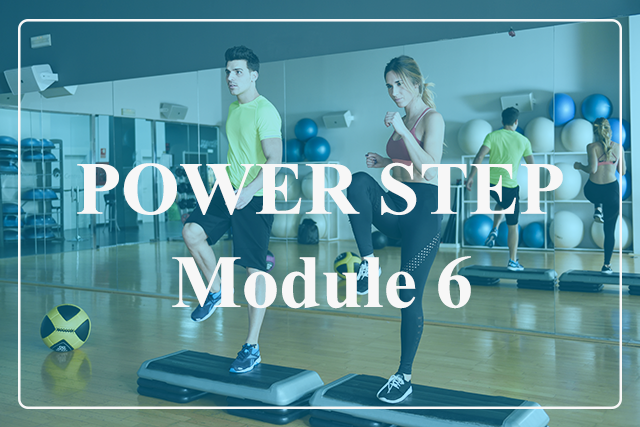 Power Step Modules – NAFTA